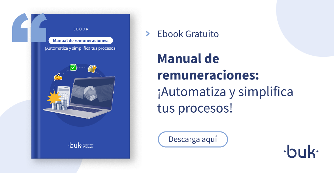 Manual de remuneraciones 2025